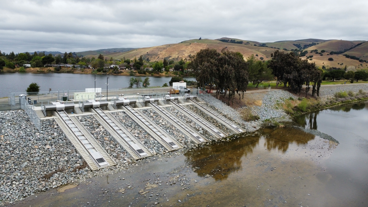 Engagement and Public Participation